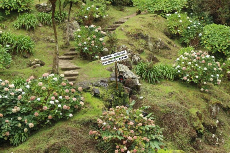 From Ponta Delgada: Nordeste 4x4 Guided Day Trip & Lunch - Real Travelers’ Perspectives