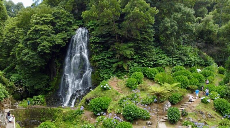 From Ponta Delgada: Nordeste 4x4 Guided Day Trip & Lunch - FAQ: Your Practical Questions Answered
