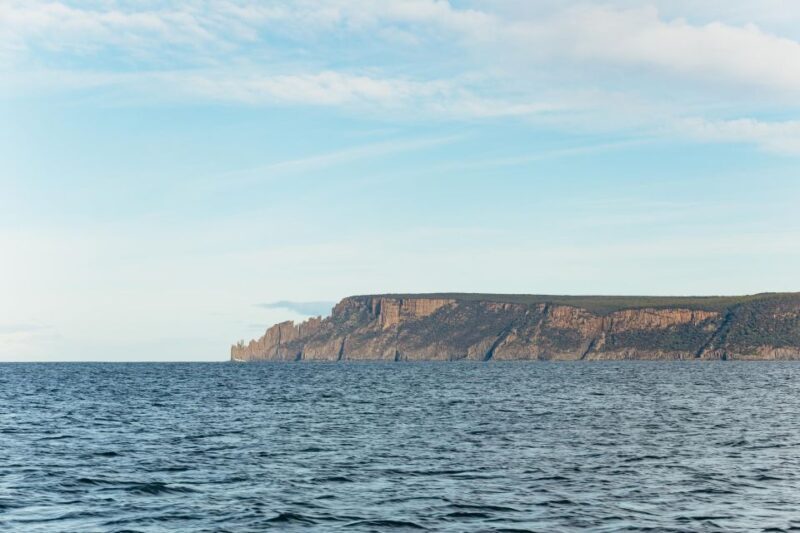 From Port Arthur: Tasman Island Wilderness Cruise - Authentic Encounters and Genuine Reviews