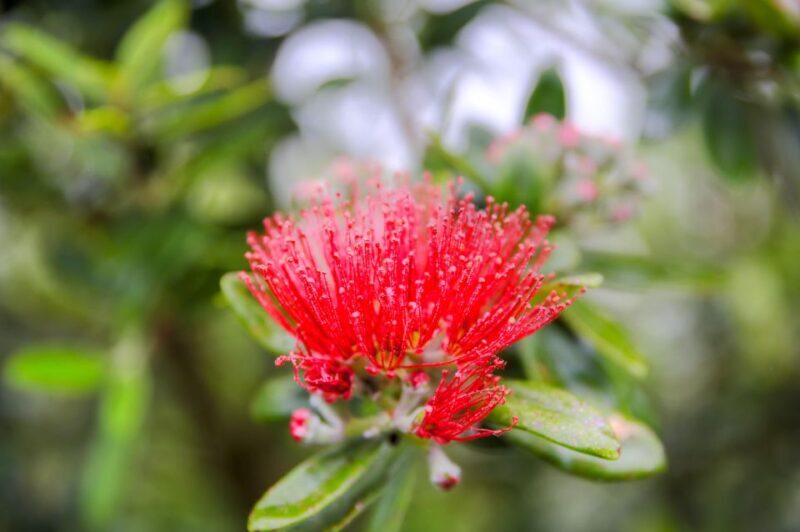 From Port Chalmers: Small Group Castle, Coast & City Tour - What Makes This Tour Stand Out?