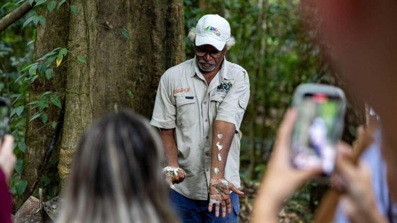 From Port Douglas: Daintree Rainforest & Mossman Gorge Tour - Experience Overview and Transportation