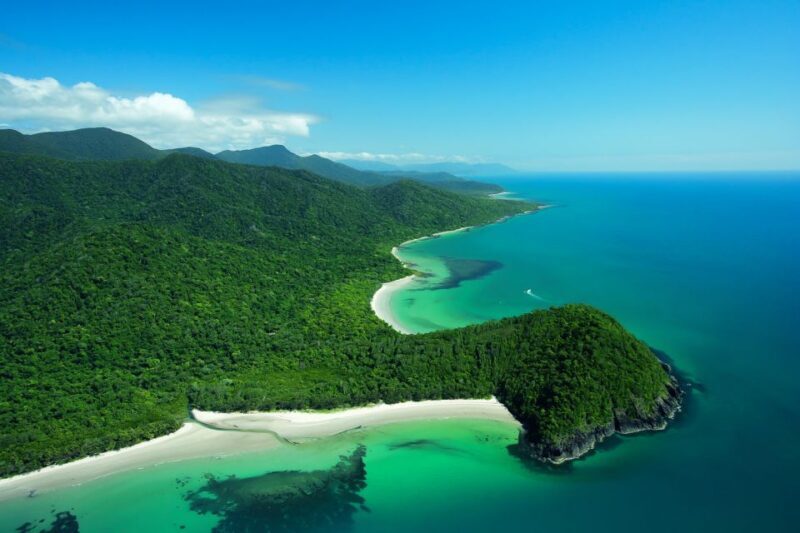 From Port Douglas: Daintree Rainforest & Mossman Gorge Tour - Lunch and the Rainforest Meets the Reef