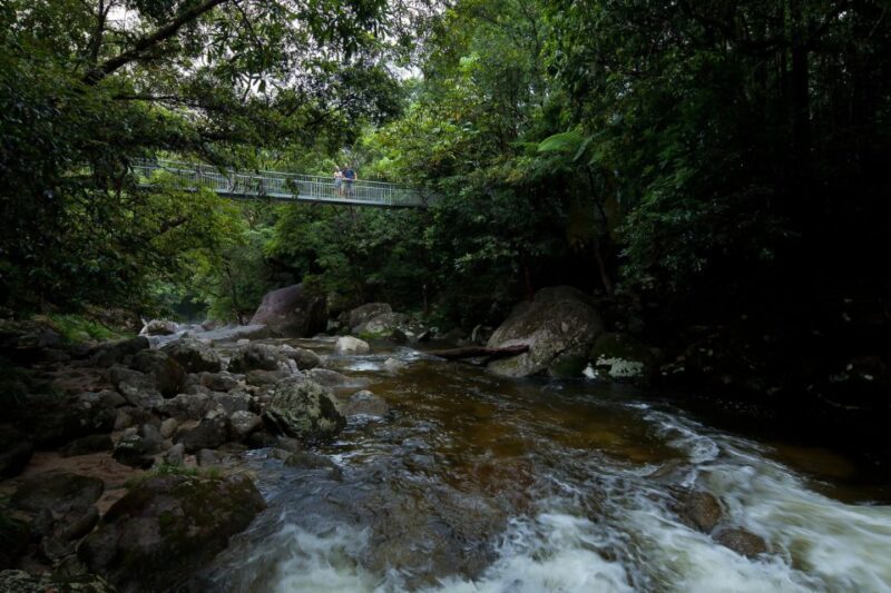 From Port Douglas: Daintree Rainforest & Mossman Gorge Tour - Visiting the Daintree Ice Cream Co.
