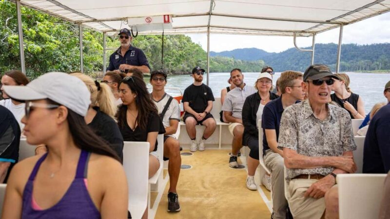 From Port Douglas: Daintree Rainforest & Mossman Gorge Tour - Summary of the Day and Final Thoughts