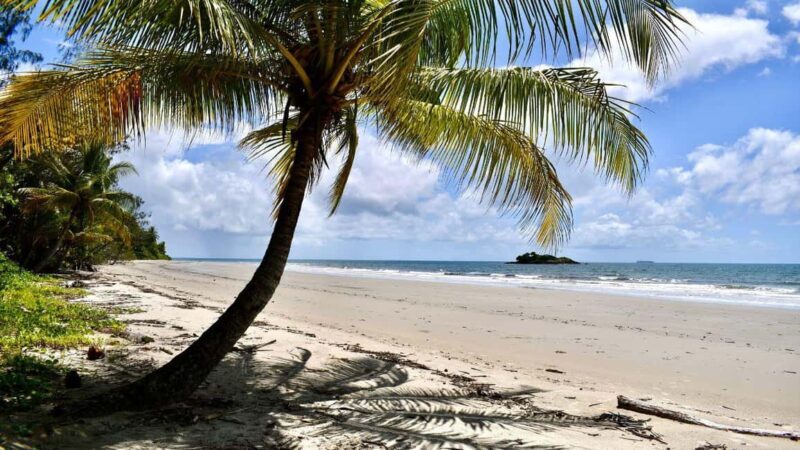 From Port Douglas: Daintree Rainforest & Mossman Gorge Tour - Who Will Love This Tour?