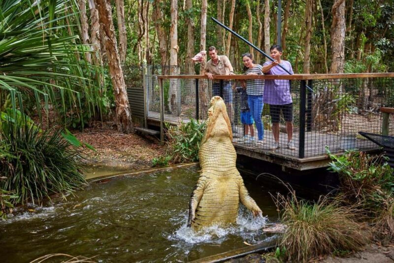 From Port Douglas: Hartley's Crocodile Park, Skyrail & Train - Key Points