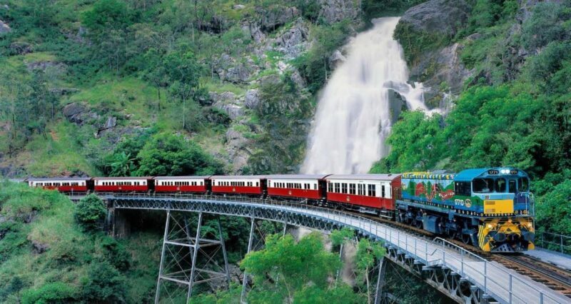 From Port Douglas: Hartley's Crocodile Park, Skyrail & Train - Real Traveler Insights
