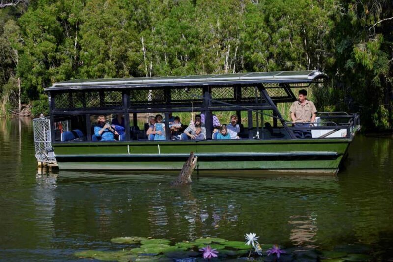 From Port Douglas: Hartley's Crocodile Park, Skyrail & Train - The Sum Up: Who Will Love This Tour?