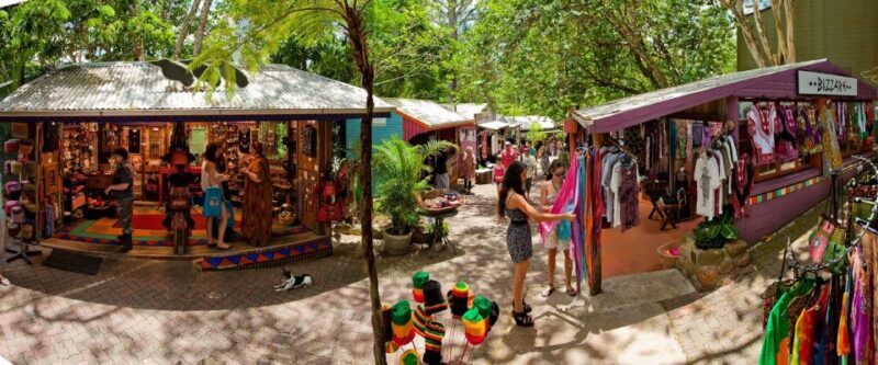 From Port Douglas: Kuranda Tour with Skyrail & Scenic Train - Introduction: What’s This Tour All About?