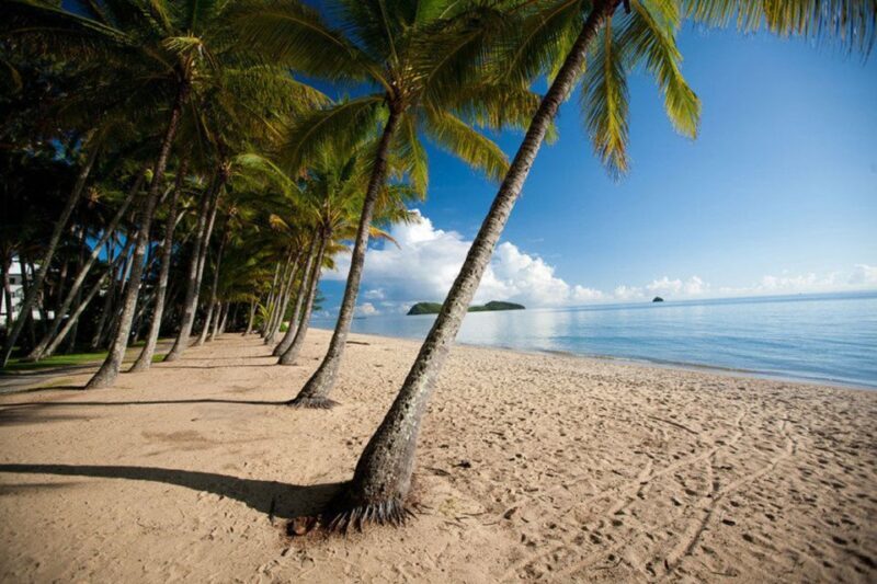 From Port Douglas: Kuranda Tour with Skyrail & Scenic Train - What Do Travelers Say?
