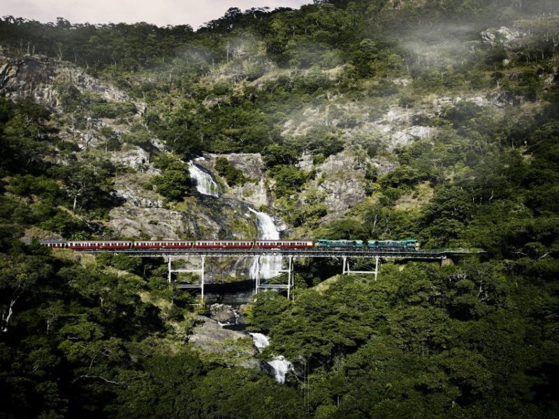 From Port Douglas: Kuranda Tour with Skyrail & Scenic Train - Final Thoughts