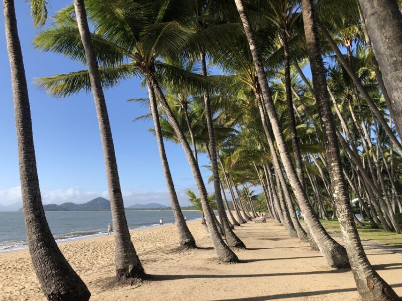 From Port Douglas: Kuranda via Scenic Rail or Skyrail Option - Who Is This Tour Best For?