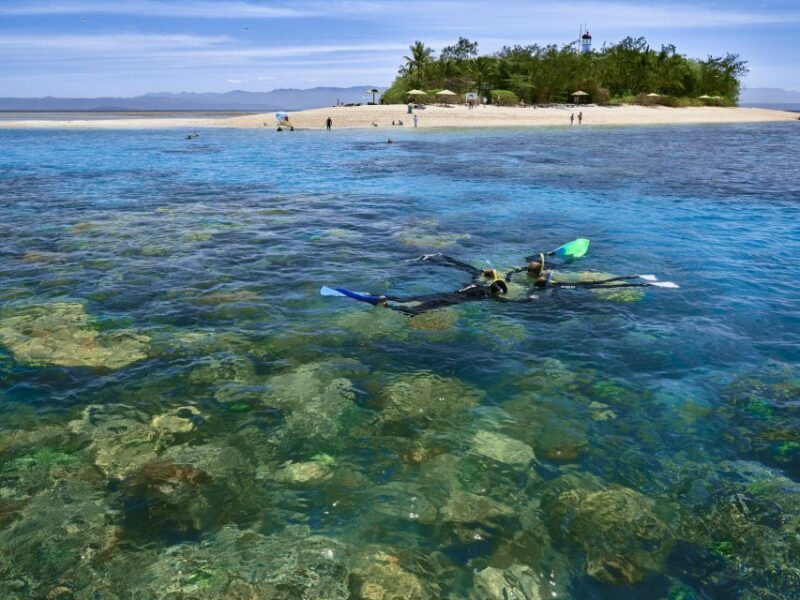 From Port Douglas: Low Isles Great Barrier Reef Sailing Tour - What Sets This Tour Apart
