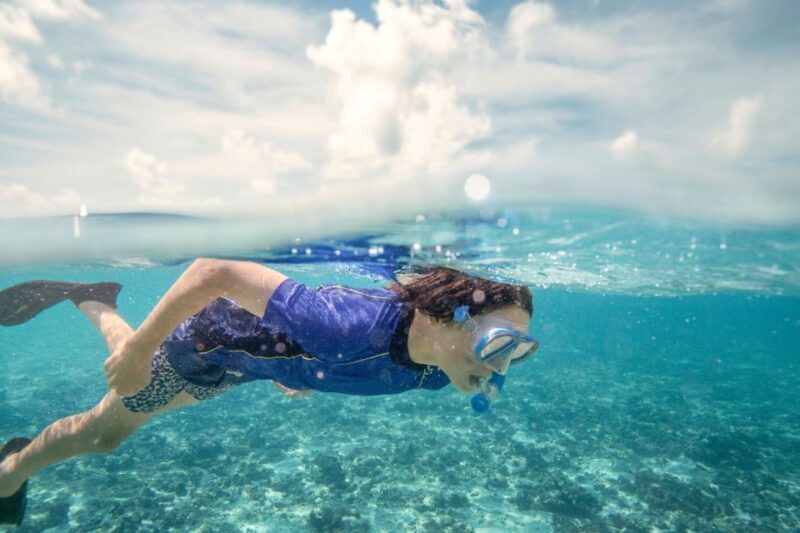 From Port Douglas: Outer Reef Cruise by Luxury Catamaran - A Deep Dive into the Experience