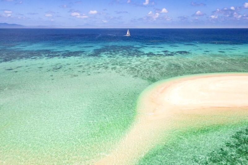 From Port Douglas: Outer Reef Cruise by Luxury Catamaran - Authentic Feedback from Guests