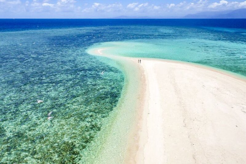 From Port Douglas: Outer Reef Cruise by Luxury Catamaran - Final Thoughts