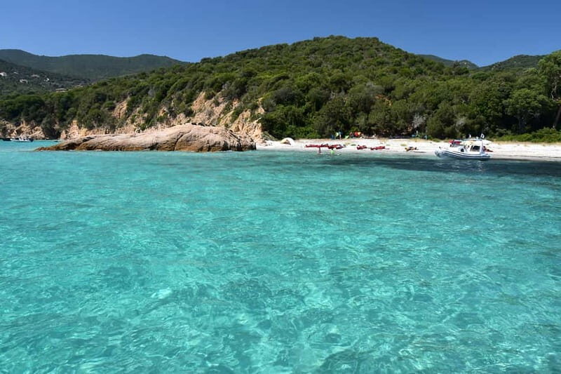 From Porticcio/Ajaccio: Gulf of Valinco Cruise w/Snorkeling - Key Points