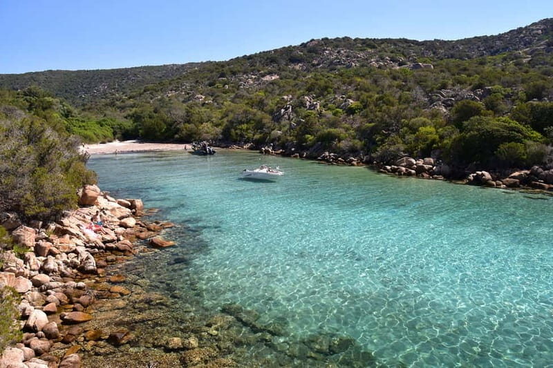 From Porticcio/Ajaccio: Gulf of Valinco Cruise w/Snorkeling - The Sum Up