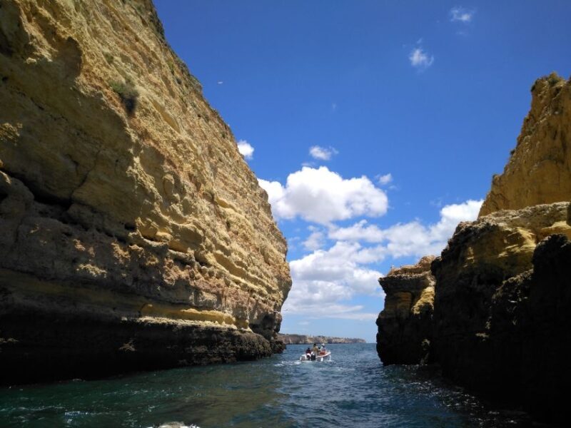 From Portimão: Benagil Caves Guided Speedboat Tour - Who Should Consider This Tour?