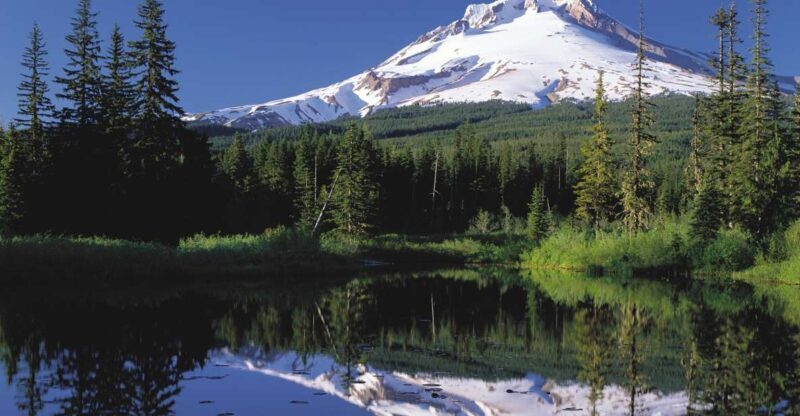 From Portland: Columbia Gorge Waterfalls and Mt. Hood Tour - Climbing to Mount Hood’s Summit of Scenic Marvels