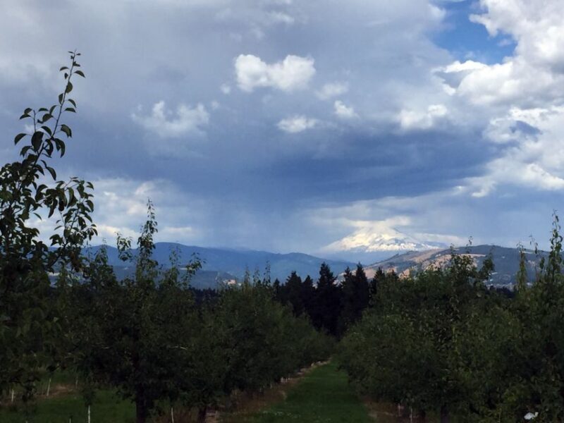 From Portland: Mt Hood, Hood River Valley and Columbia Gorge - Who Will Love This Tour?