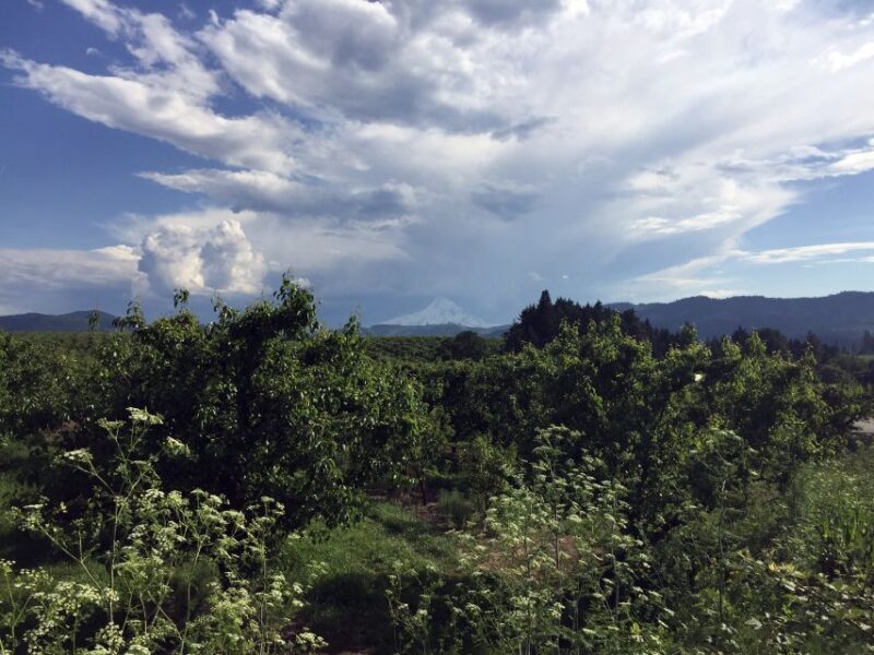 From Portland: Mt Hood, Hood River Valley and Columbia Gorge - Final Thoughts