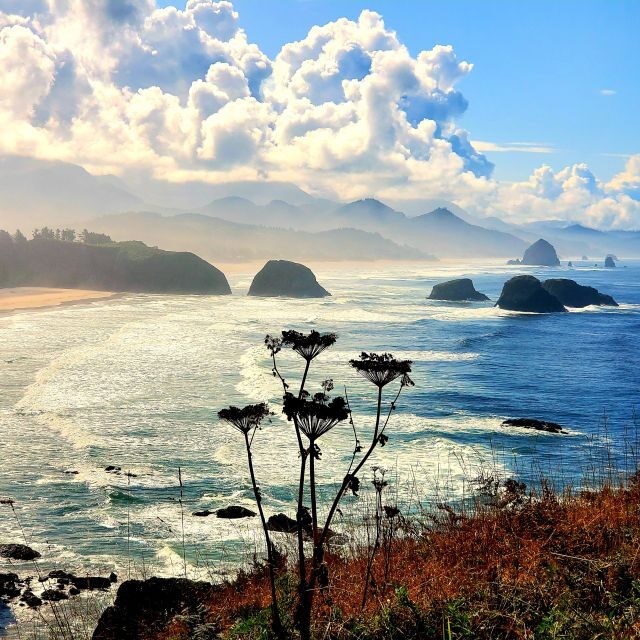 From Portland: Oregon Coast Adventure Day Tour with Pickup - Key Points