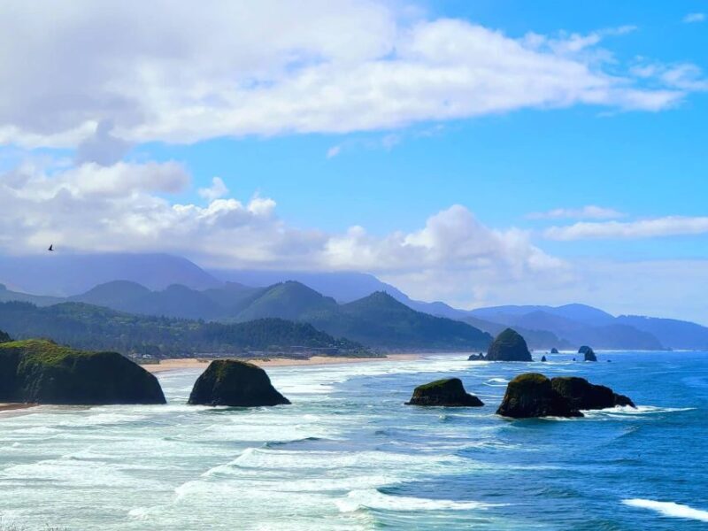From Portland: Oregon Coast Adventure Day Tour with Pickup - What to Expect on This Oregon Coast Day Trip