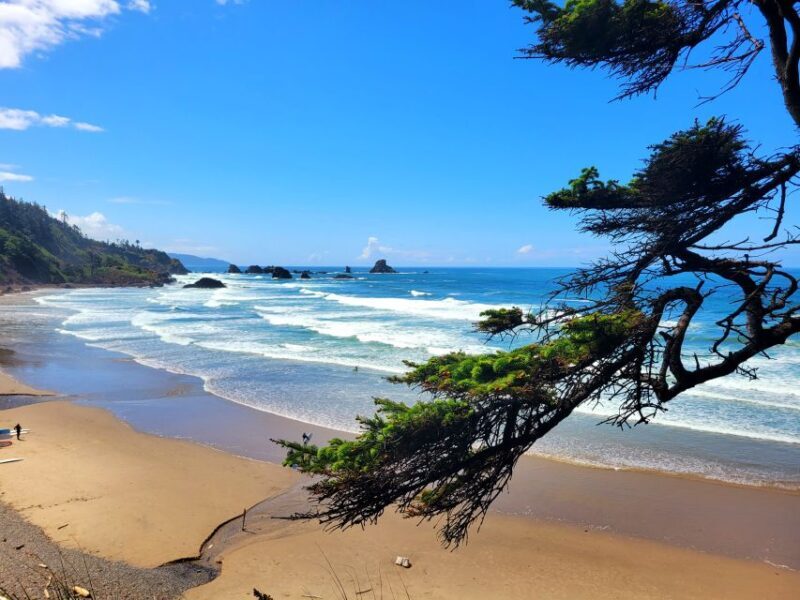 From Portland: Oregon Coast Adventure Day Tour with Pickup - The Sum Up: Is this tour right for you?