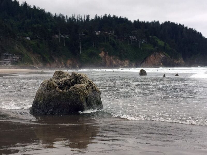 From Portland: Oregon Coast Day Trip to Three Capes Loop - Discovering the Oregon Coast: What to Expect