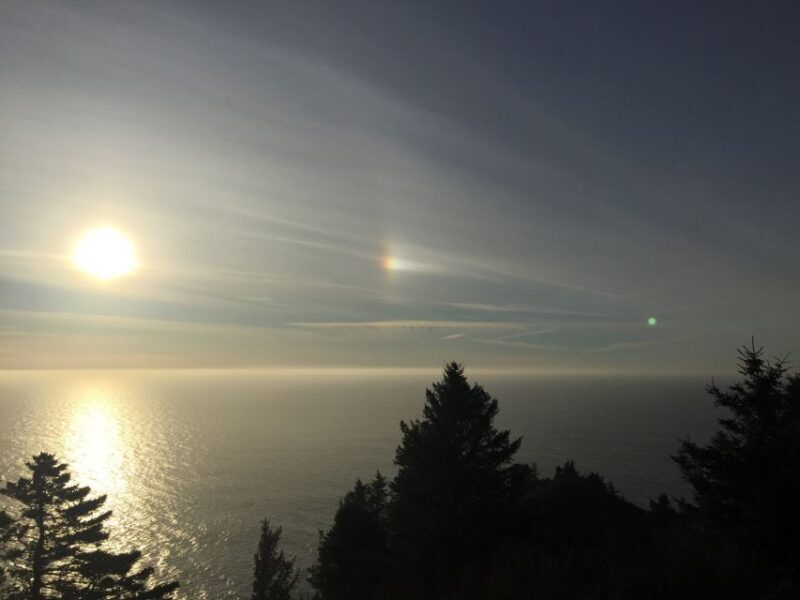 From Portland: Oregon Coast Day Trip to Three Capes Loop - Authentic Experiences and Traveler Insights