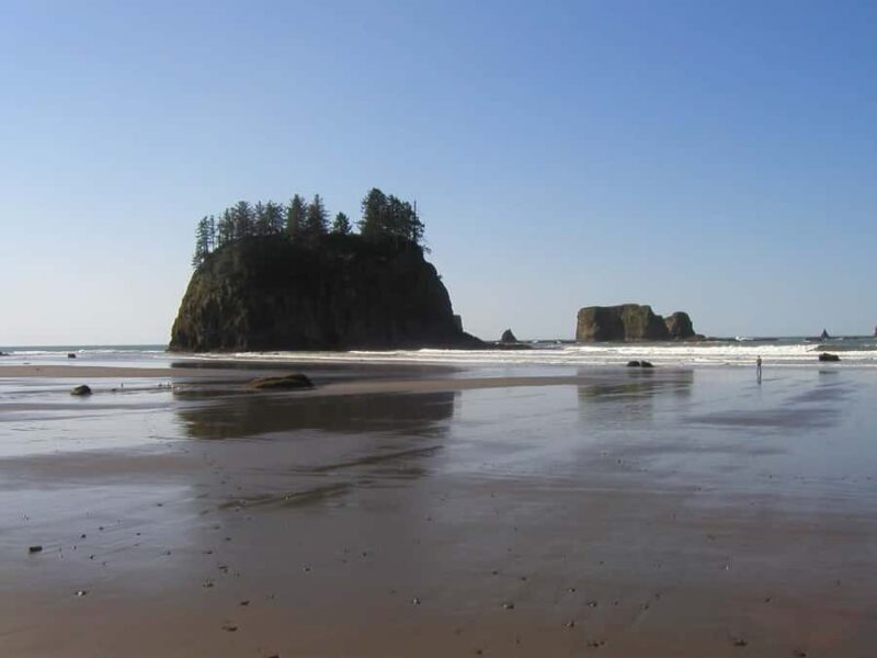 From Portland: Oregon Coast Scenic Day Tour - An In-Depth Look at the Oregon Coast Scenic Day Tour