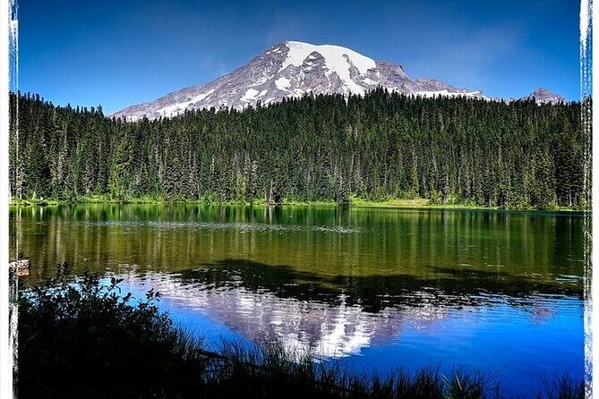 From Portland to Mt. Rainier Tour in a Small Group - Who Should Consider This Tour?