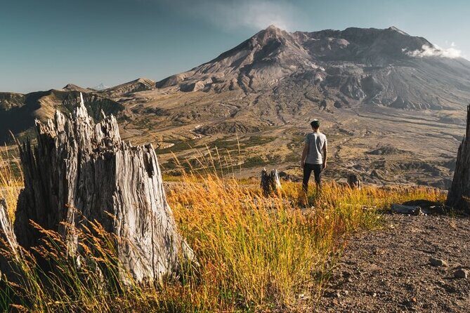 From Portland to Mt. Saint Helen Tour in a small group - What Travelers Say