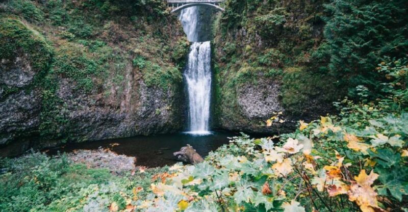 From Portland: Waterfalls, Mt Hood, and Wine Day Tour - Key Points