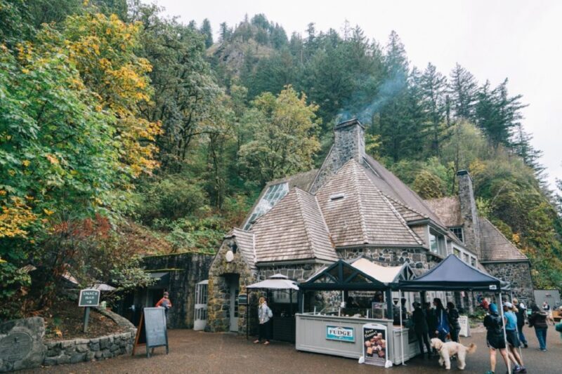 From Portland: Waterfalls, Mt Hood, and Wine Day Tour - What Makes This Tour Stand Out?