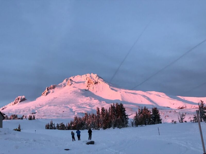 From Portland: Waterfalls, Mt Hood, and Wine Day Tour - What Travelers Say