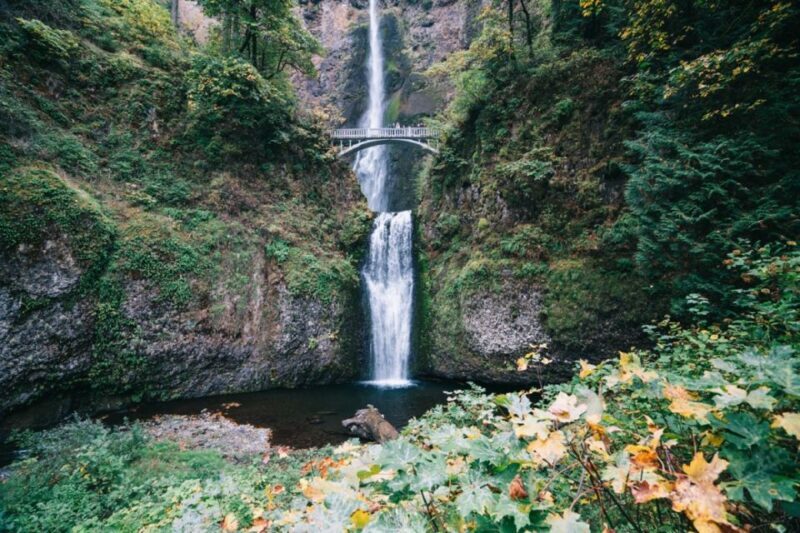 From Portland: Waterfalls, Mt Hood, and Wine Day Tour - Who Is This Tour Best For?