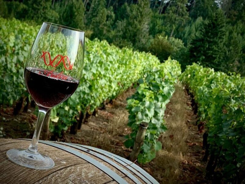 From Portland: Waterfalls, Mt Hood, and Wine Day Tour - Final Recommendations