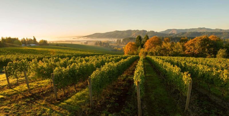 From Portland: Willamette Valley Wine Tasting Tour - Key Points