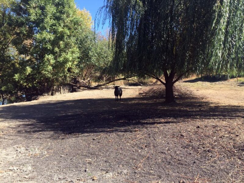 From Portland: Willamette Valley Wine & Whisky - FAQ