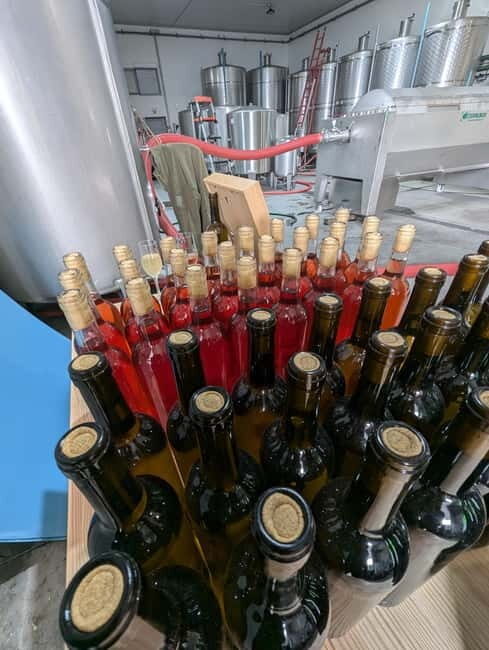 From Porto: 2 Wine Regions, Farm-to-Table Lunch & Boat - Authenticity and Value