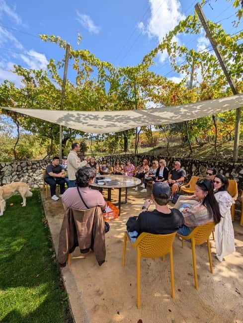 From Porto: 2 Wine Regions, Farm-to-Table Lunch & Boat - In Closing
