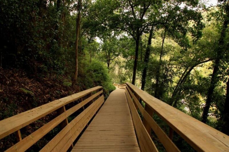 From Porto: 516 Arouca Bridge and Paiva Walkways Guided Tour - Who is This Tour Best For?