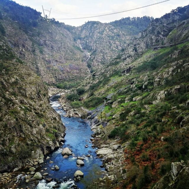 From Porto: 516 Arouca Bridge and Paiva Walkways Guided Tour - Price and Value for Money