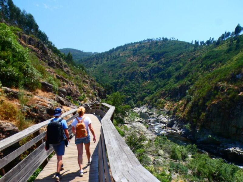 From Porto: 516 Arouca Bridge and Paiva Walkways Guided Tour - Authentic Experiences That Leave Lasting Impressions