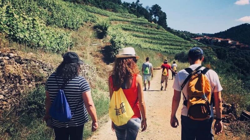 From Porto a private experience to Niepoort with lunch there - The Itinerary in Detail