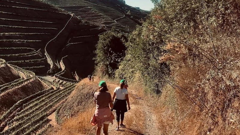 From Porto a private experience to Niepoort with lunch there - FAQs