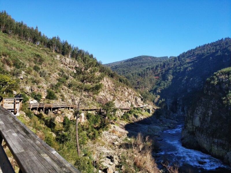 From Porto: Arouca 516 and Paiva Walkways Guided Day Trip - An In-Depth Look at the Experience