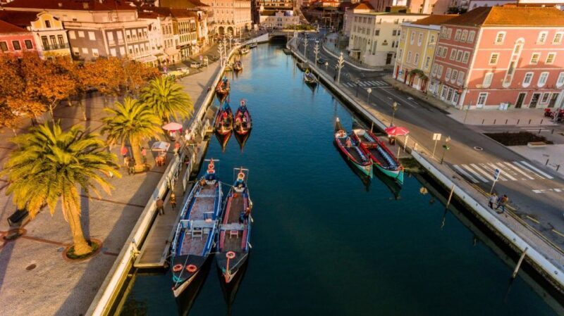 From Porto: Aveiro and Coimbra Private Tour - Who Will Love This Tour?